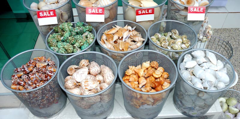 Shell In A Market Picture. Image: 6450248