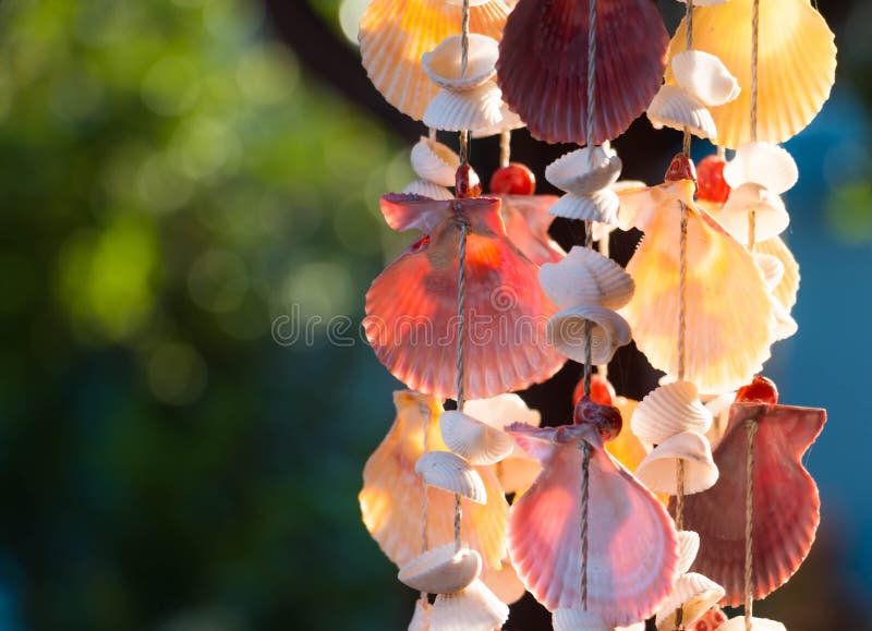 Shell mobile stock photo. Image of mobile, gift, show - 62125310