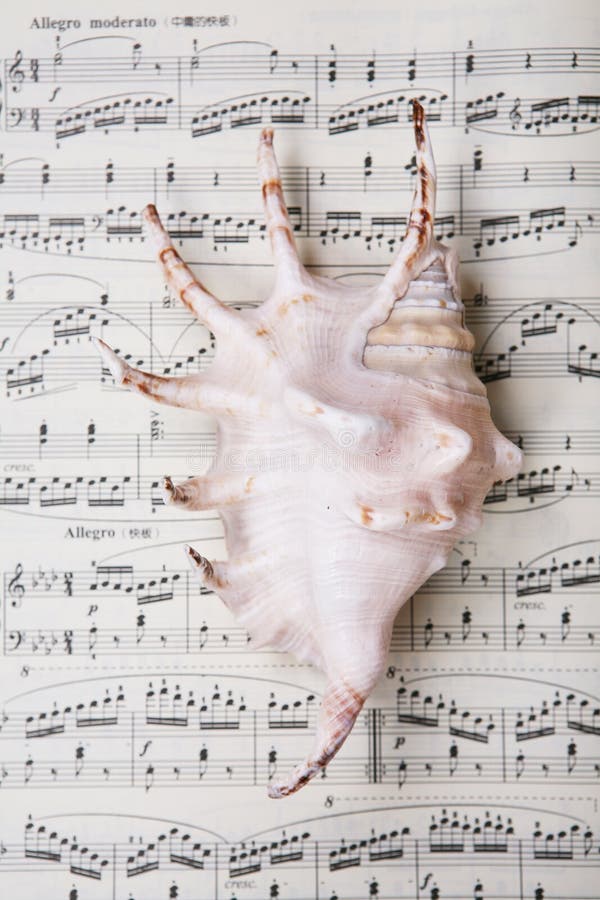 Shell On Music Music Score Book Stock Photo - Image of macro, musician ...