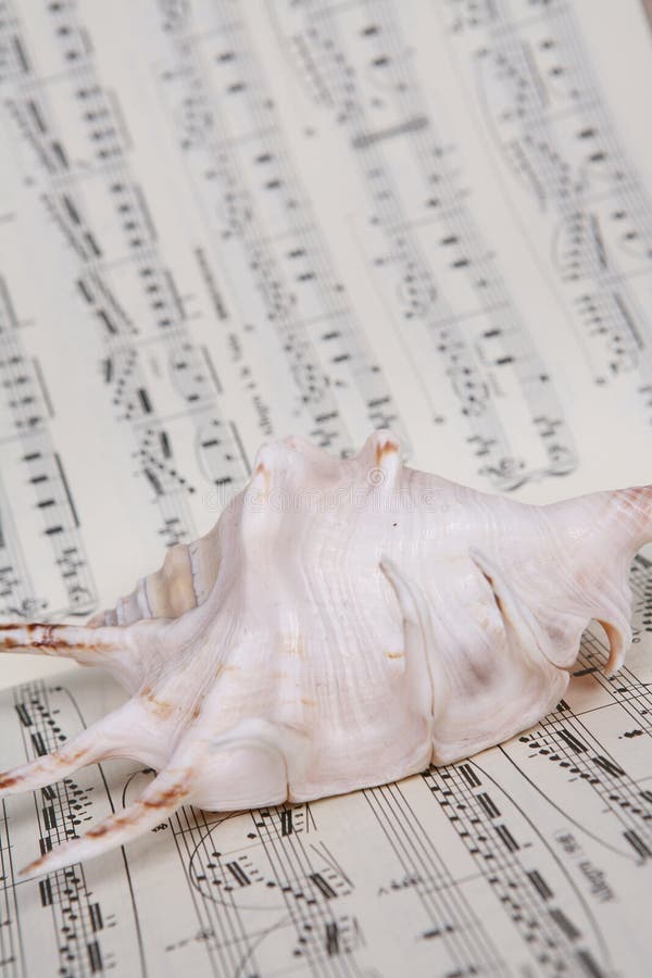 Shell on Music Music Score Book Stock Image - Image of beauty, musical ...