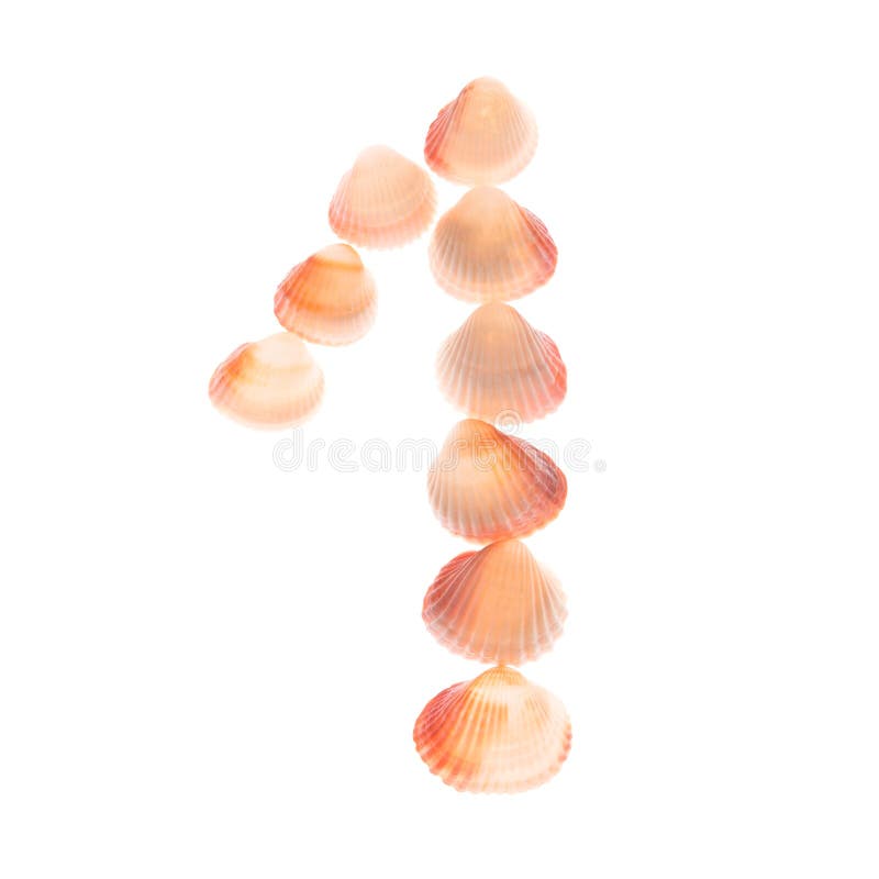 Shell Number 1 Picture. Image: 4235196