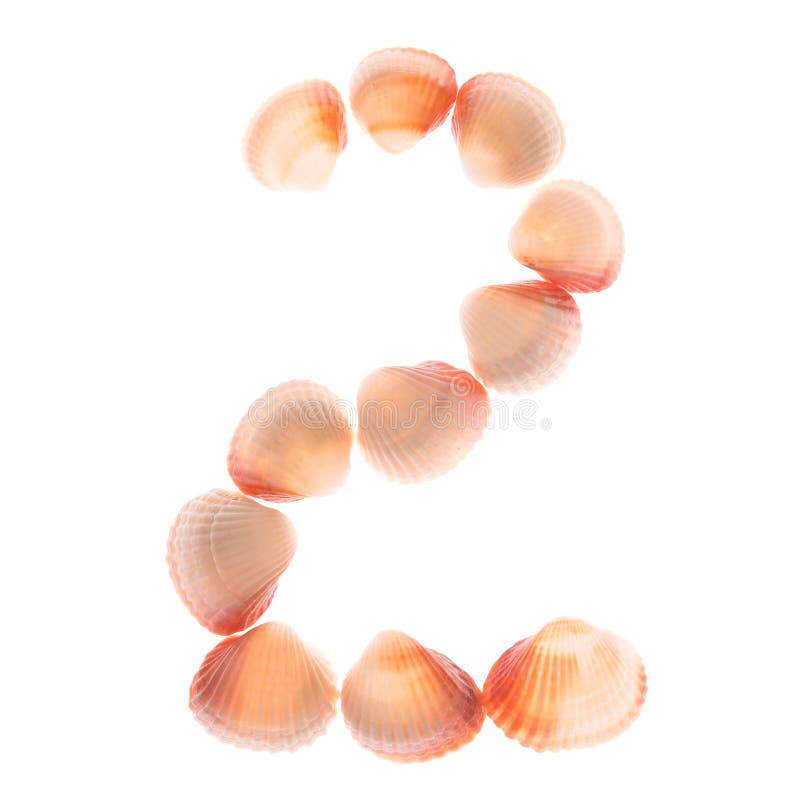 Shell Number 2 Picture. Image: 4235189