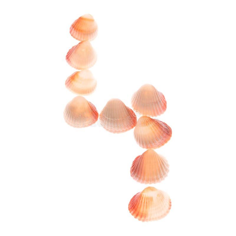 Shell Number 4 Picture. Image: 4235194