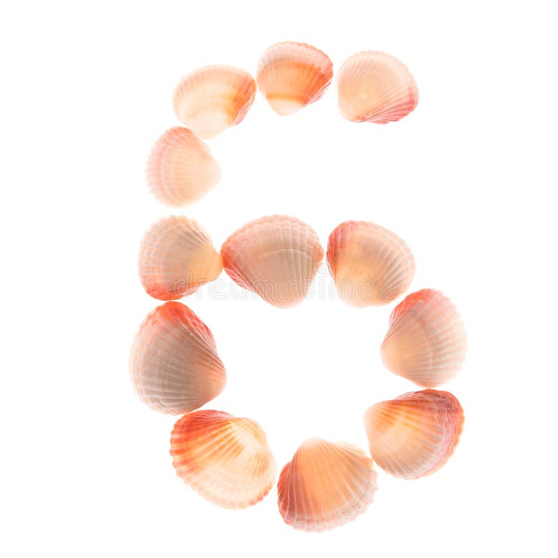 Shell Number 6 Picture. Image: 4235203