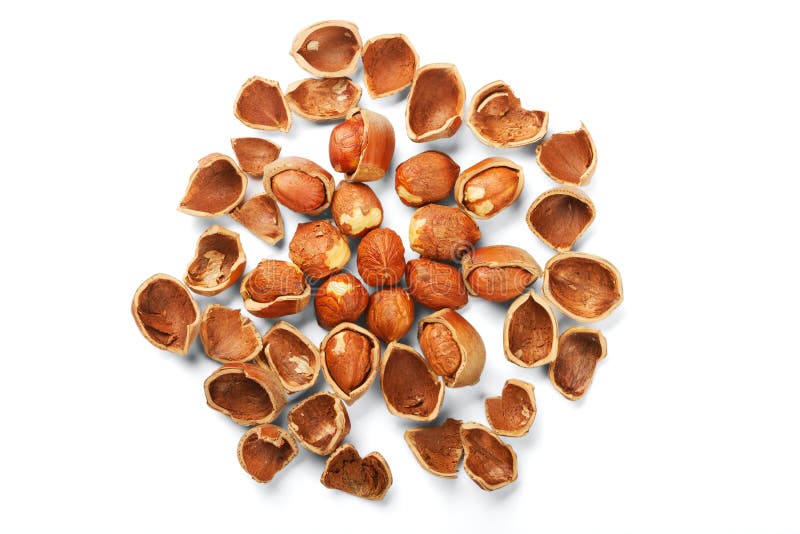 Shell of nuts and nuts stock photo. Image of nutlet, backdrop - 18980394
