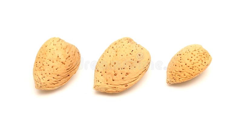 In Shell Nuts stock image. Image of protein, ingredient - 65946963