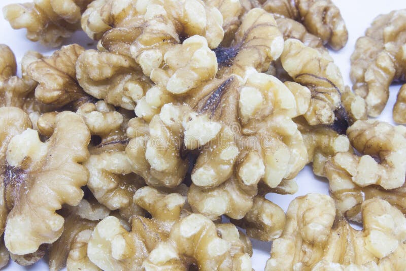 Walnut stock photo. Image of nuts, nutrien, health, food - 103237694