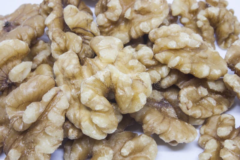 Walnut stock photo. Image of diet, crunchy, gourmet - 103237458