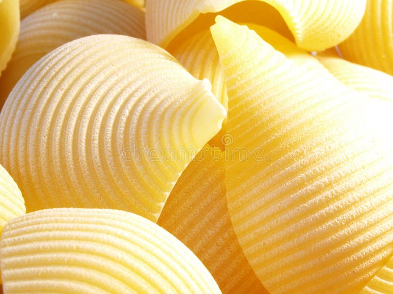 Shell Pasta stock photo. Image of delicious, food, pasta - 9296768