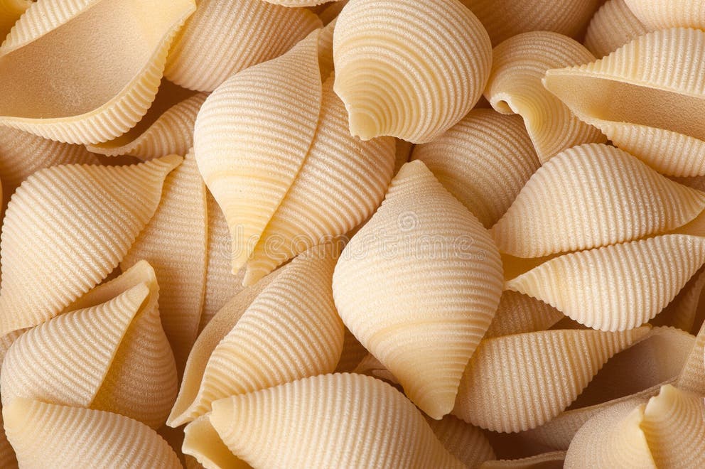 Shell pasta stock image. Image of kitchen, meal, tradition - 39621723