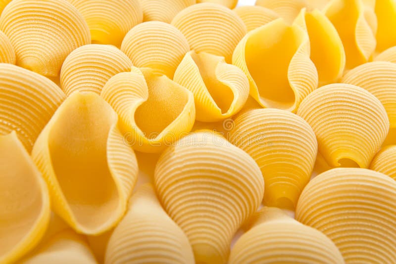 Shell Pasta on a Plate.Close Up Stock Photo - Image of cuisine, cooking ...