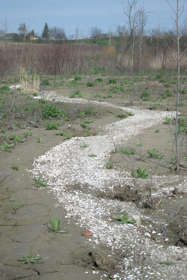 Shell Path imagen de archivo. Imagen de camino, roto - 123477407