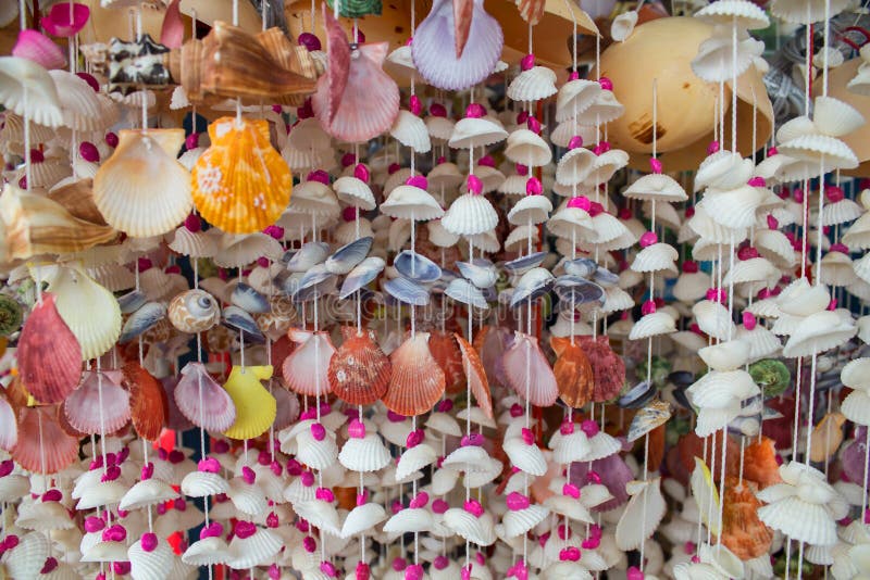 Shell in Pattaya of Thailand Stock Image - Image of food, shell: 39564163