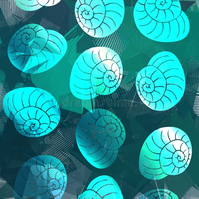 Shell pattern stock vector. Illustration of marine, mollusk - 43907453