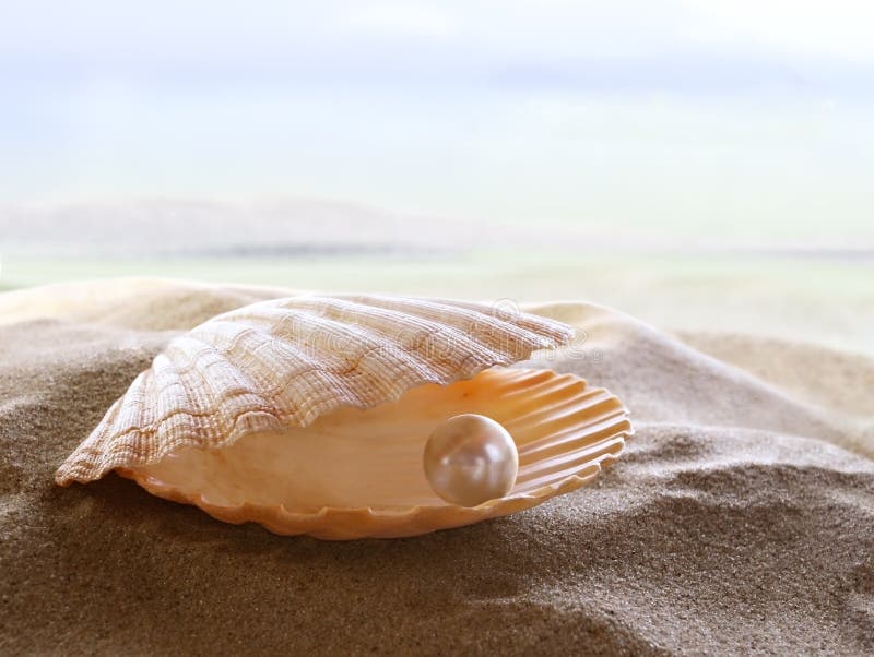 Shell With A Pearl Stock Photo - Image: 17756890