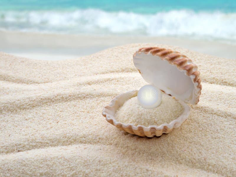 Shell with a pearl stock photo. Image of mother, sand - 53415110