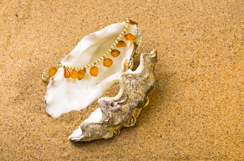 Shell with a Pearl Beads and Amber Stock Image - Image of luxury, life ...