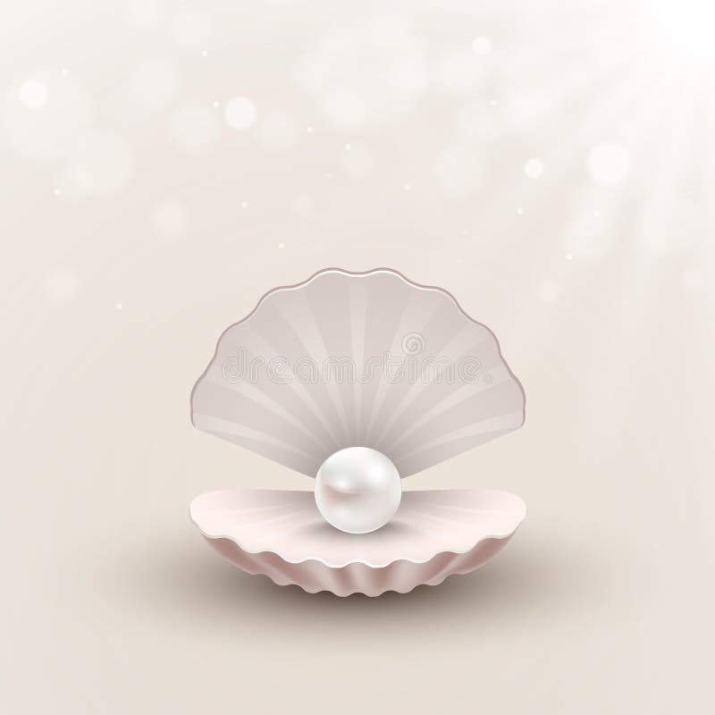 Shell with Pearl Inside on Abstract Background Stock Vector ...