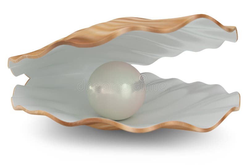 Shell with Pearl Inside. Natural Open Pearl Shell. 3D Illustration ...