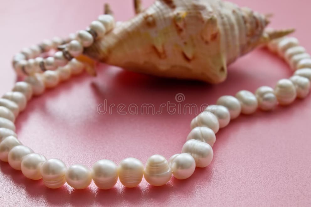 Shell with a Pearl Necklace Stock Photo - Image of natyurmort, studio ...