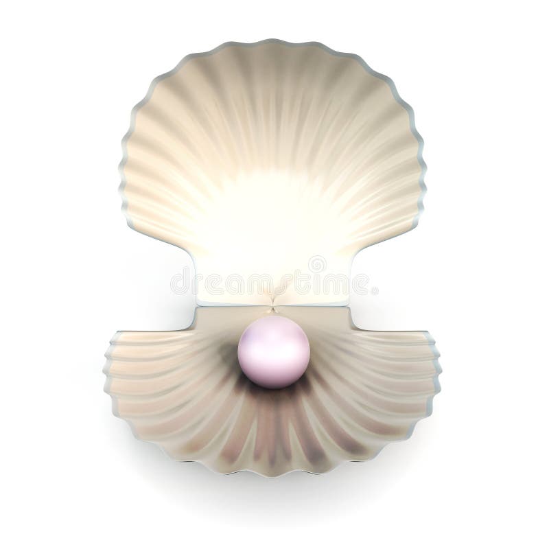 Shell Pearl on White Background Stock Illustration - Illustration of ...