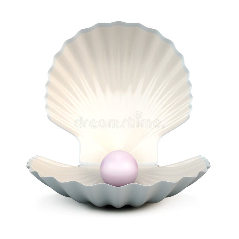 Sea Shell with Pearl Hand Drawn Sketch Vector Stock Illustration ...