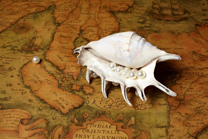 Shell with pearls stock image. Image of seashore, happy - 35248527