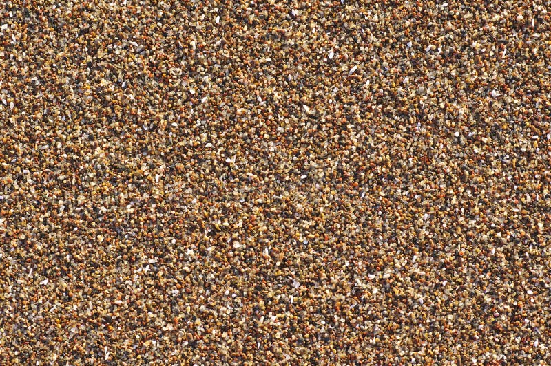 Shell and pebble stone stock photo. Image of nature, mineral - 35426510