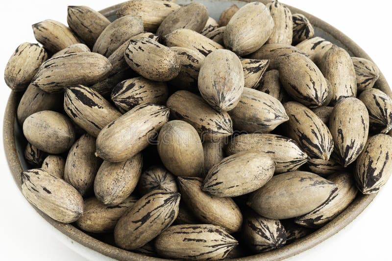 In-shell Pecan Nuts on Bowl Stock Image - Image of healthy, ingredient ...