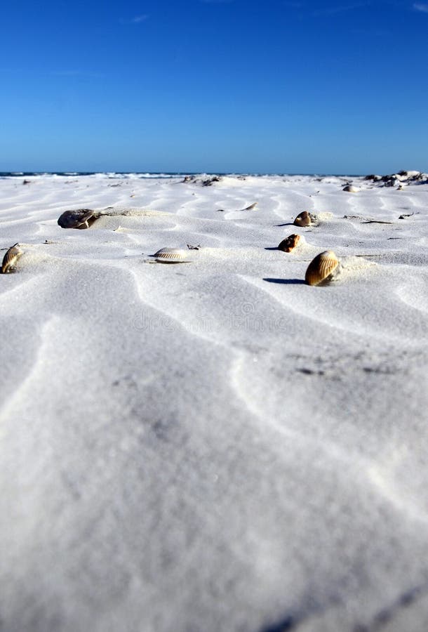 Shell perspective stock photo. Image of landscape, sand - 23172614