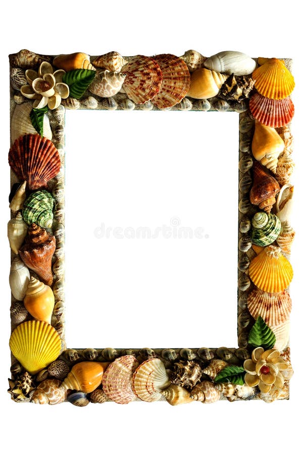 Shell picture frame. stock image. Image of sand, background - 61348325