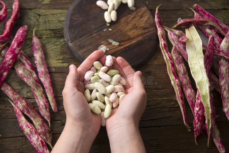 Shell the red beans stock image. Image of organic, shelling - 72418175