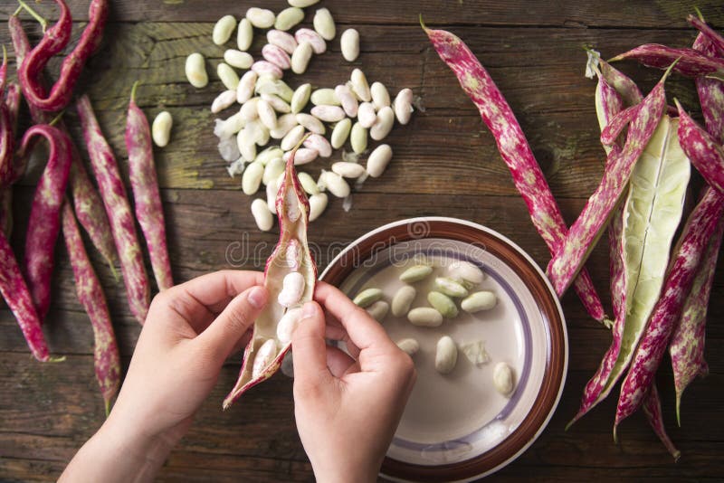 Shell the red beans stock photo. Image of vegetarian - 72418428