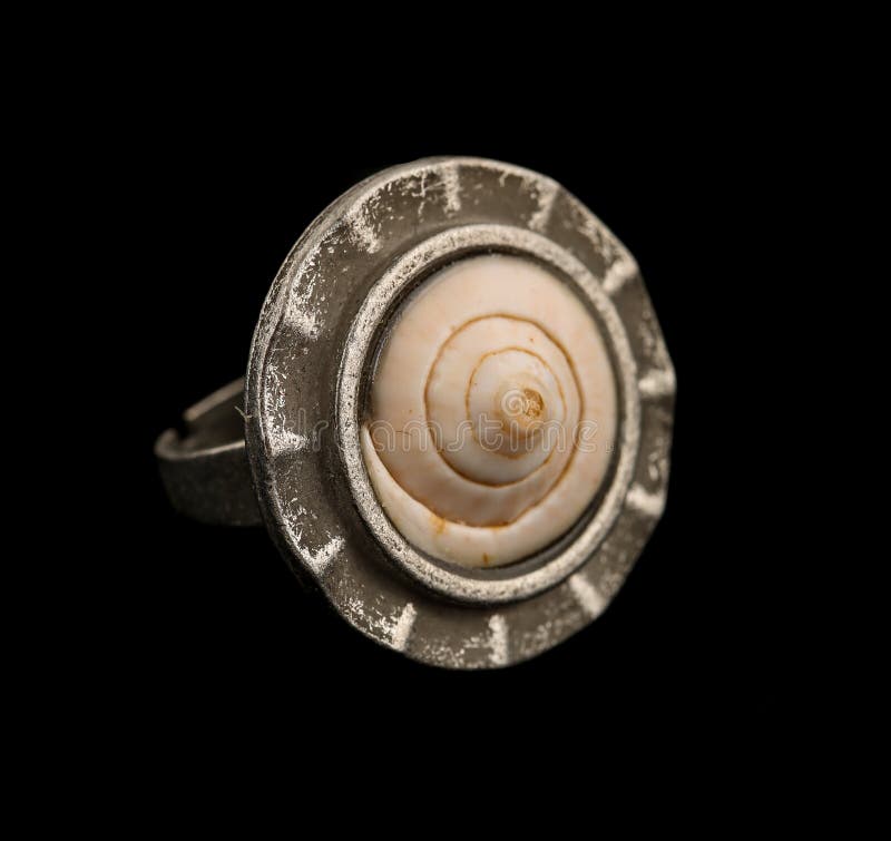 Shell ring stock photo. Image of mollusk, ring, shell - 36888588