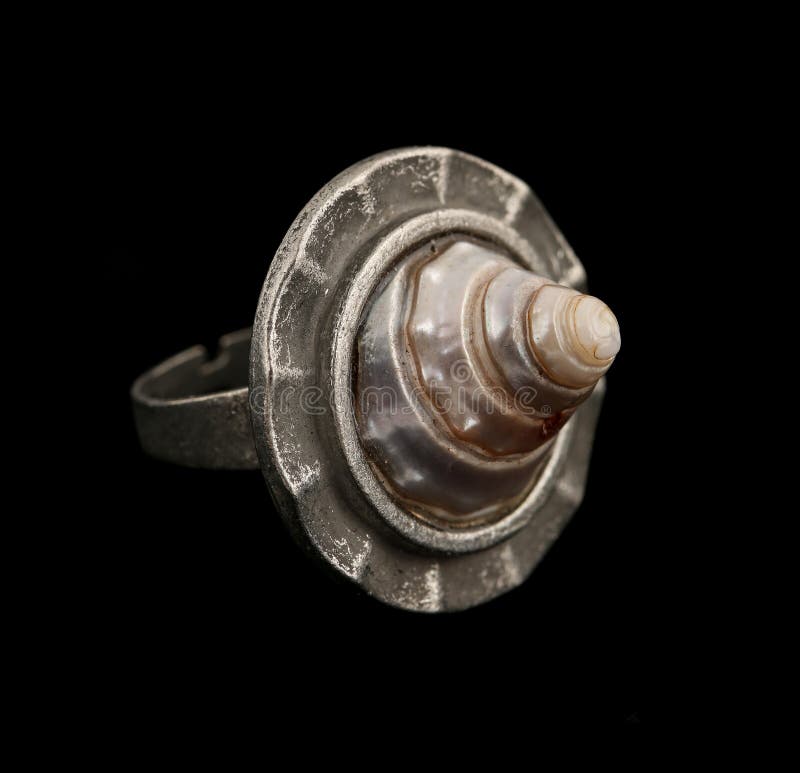 Shell ring stock photo. Image of swirl, ring, isolated - 37109028