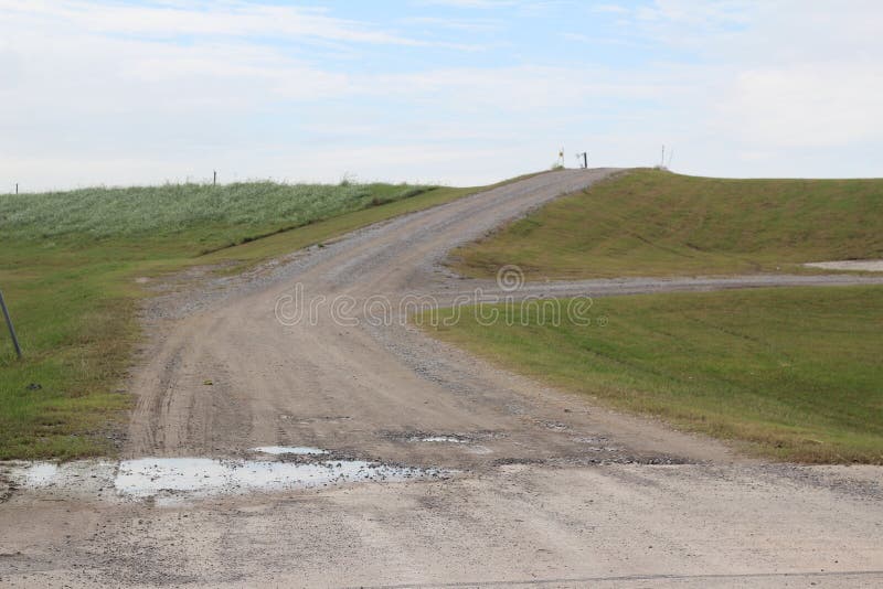 Shell Road stock photo. Image of east, leaves, fallen - 46920726