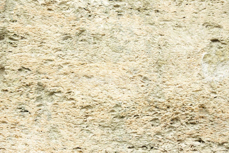 Shell rock backkground stock photo. Image of construction - 82160882