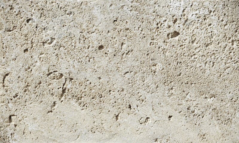 Shell rock backkground stock photo. Image of shelly, limestone - 82171184