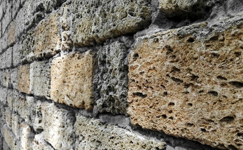 Shell Rock Brick. a Wall of Shell Rock Brick. a Shell on Cement is a ...