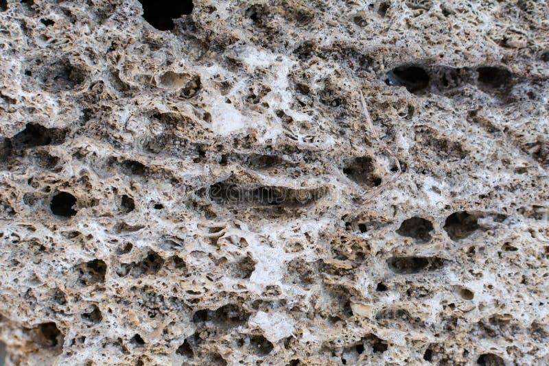 Shell rock building blocks stock image. Image of brick - 90720133