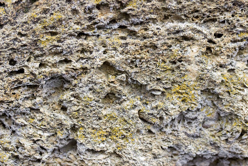 Shell Rock Building Blocks Texture or Background. Stock Image - Image ...