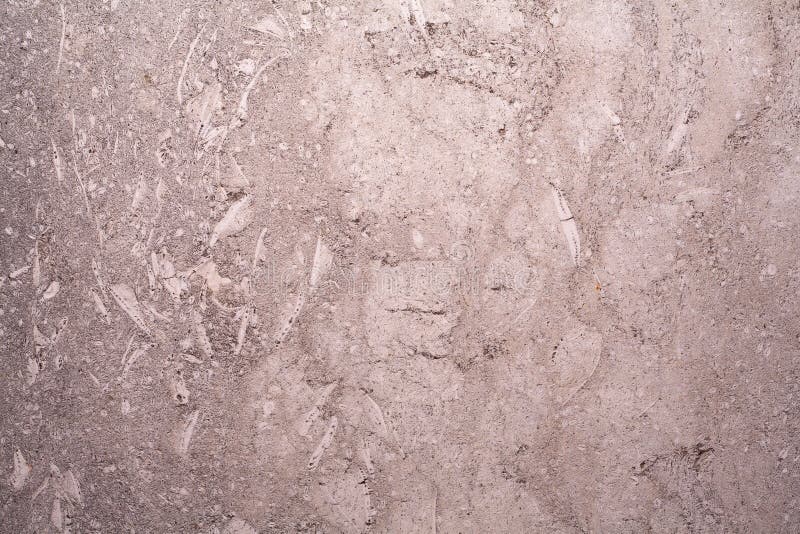 Shell Rock is a Limestone Composed of Calcium Salts. in the Field of ...