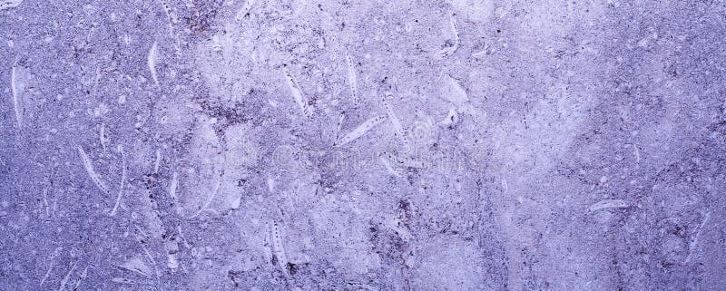 Shell Rock is a Limestone Composed of Calcium Salts. in the Field of ...