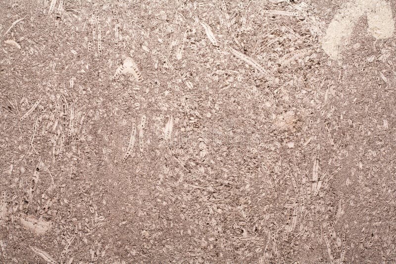 Shell Rock is a Limestone Composed of Calcium Salts. in the Field of ...