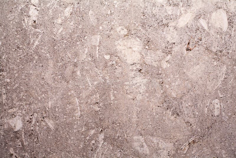 Shell Rock is a Limestone Composed of Calcium Salts. in the Field of ...