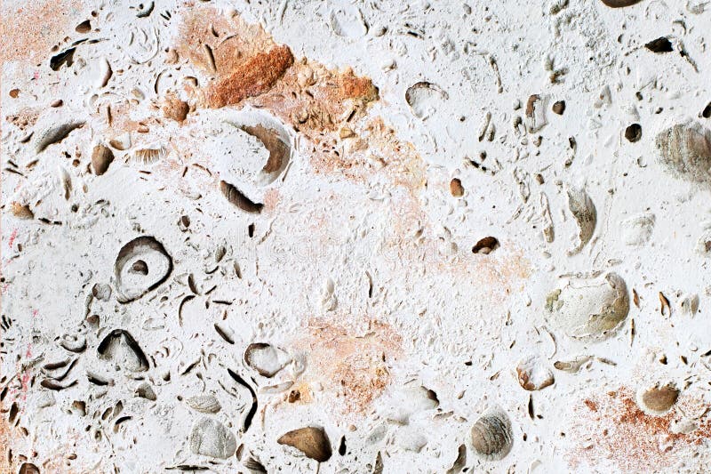 Shell Rock Limestone Texture Background. Natural Stone Background ...