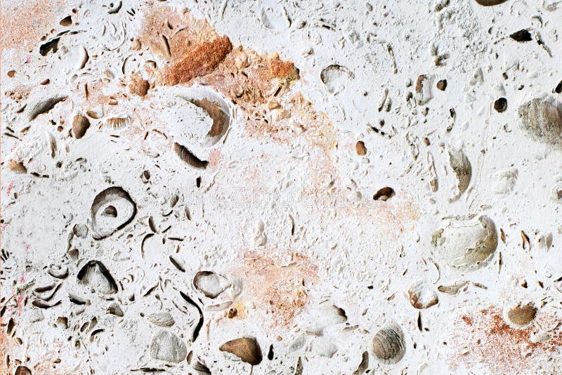 Shell Rock Limestone Texture Background. Natural Stone Background ...