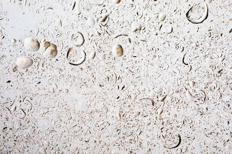 Shell Rock Limestone Texture Background. Natural Stone Background ...