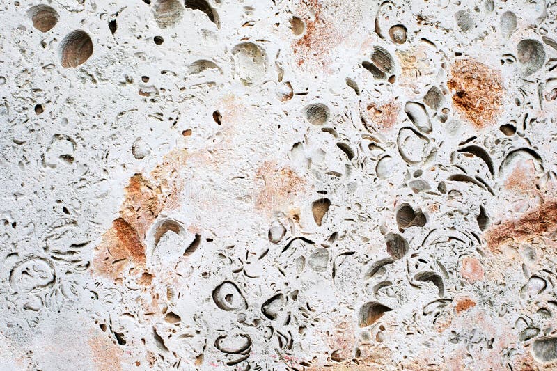 Shell Rock Limestone Texture Background. Natural Stone Background ...