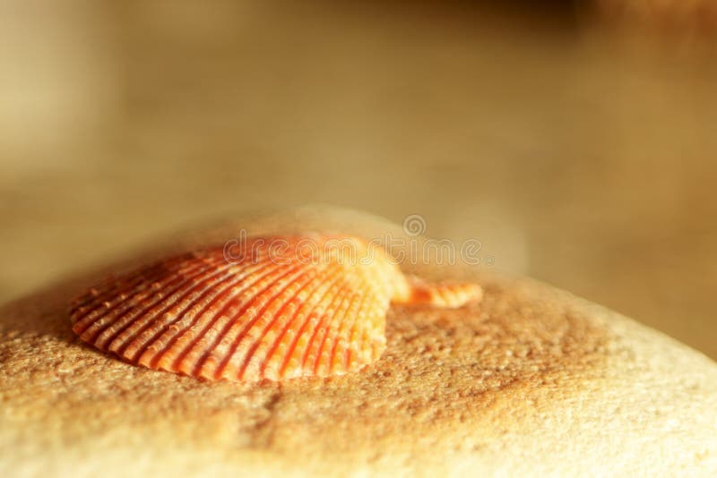 Illuminated Arenaceous Rock Stock Photos - Free & Royalty-Free Stock ...